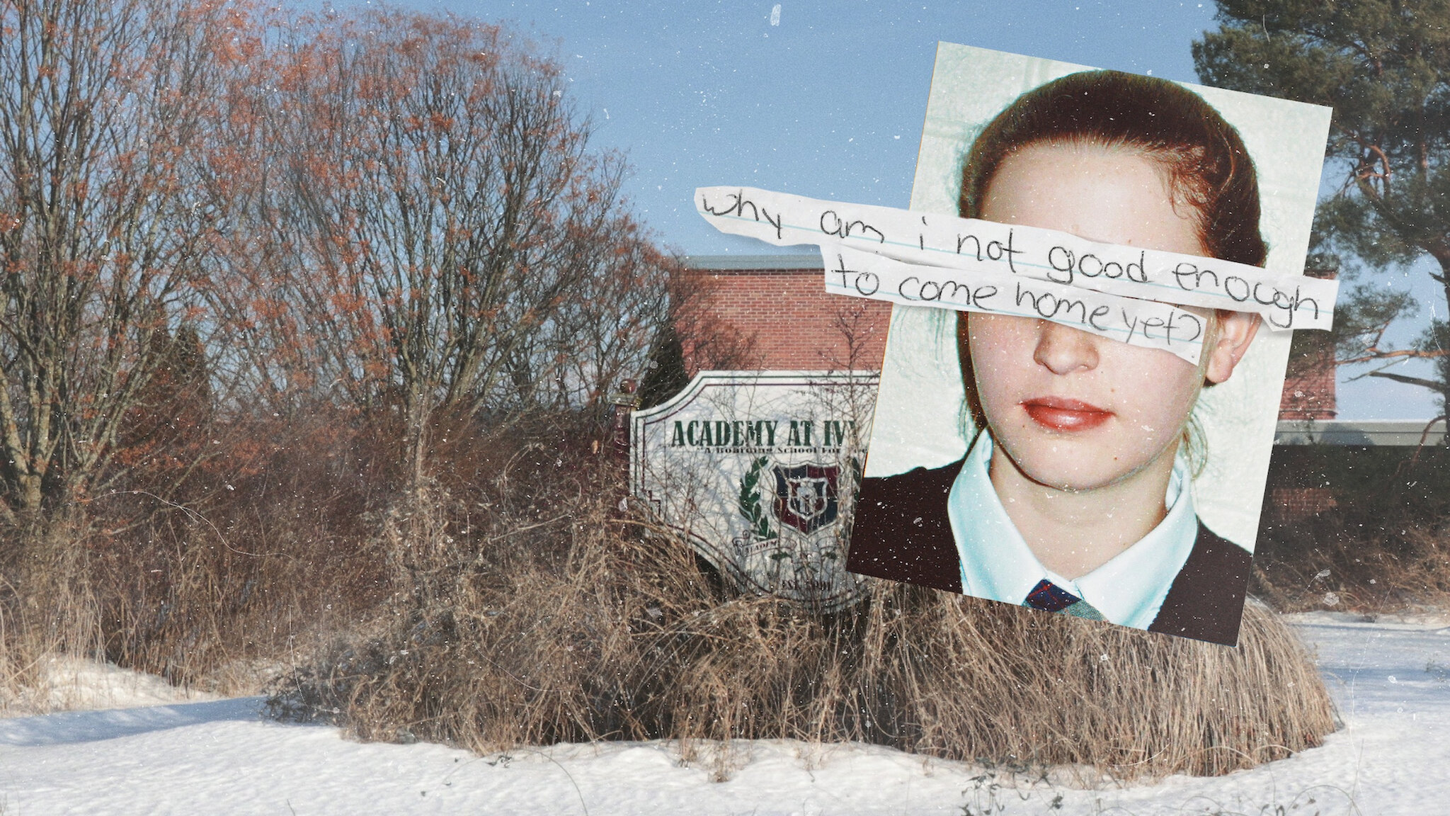 Watch The Program: Cons, Cults and Kidnapping | Netflix Official Site