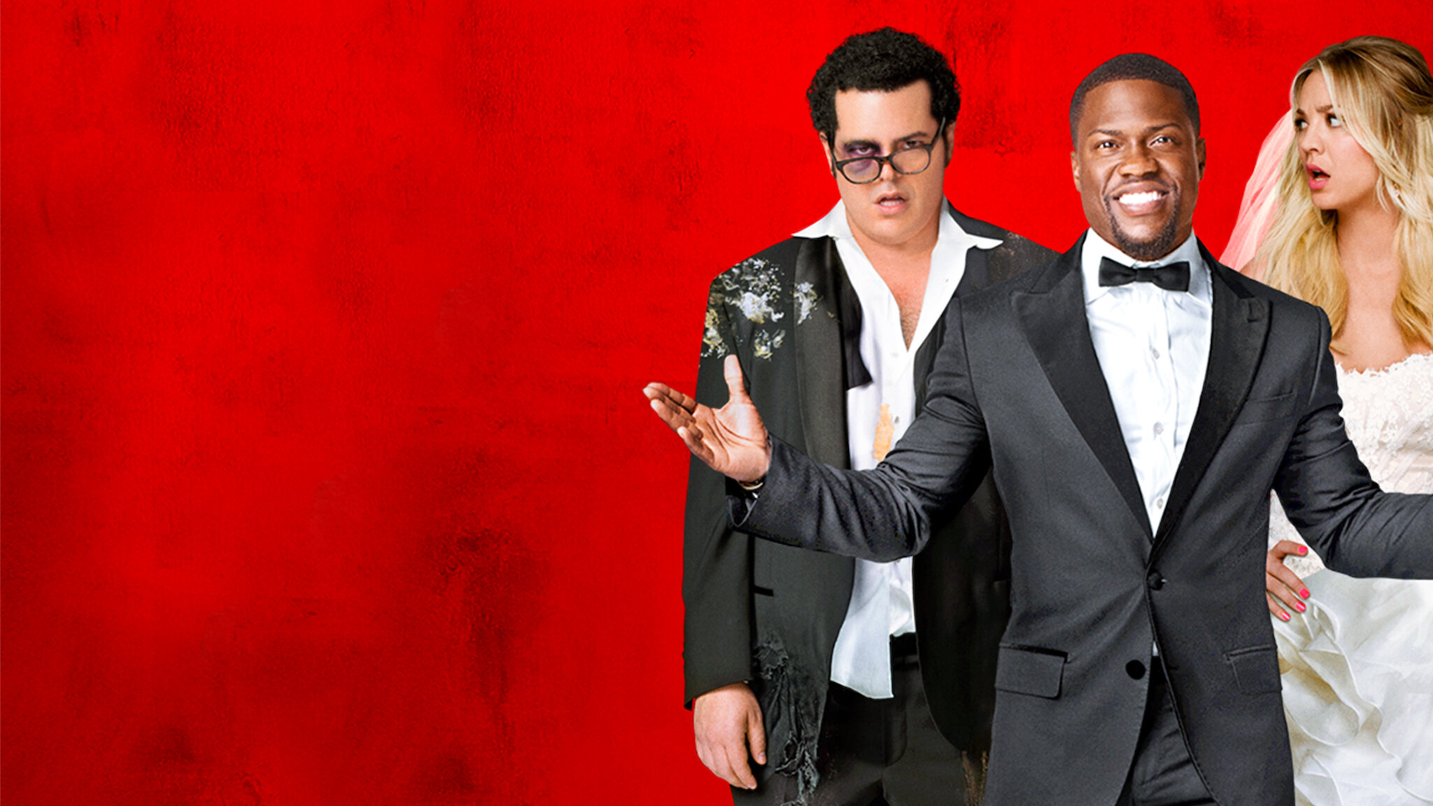 Watch The Wedding Ringer | Netflix