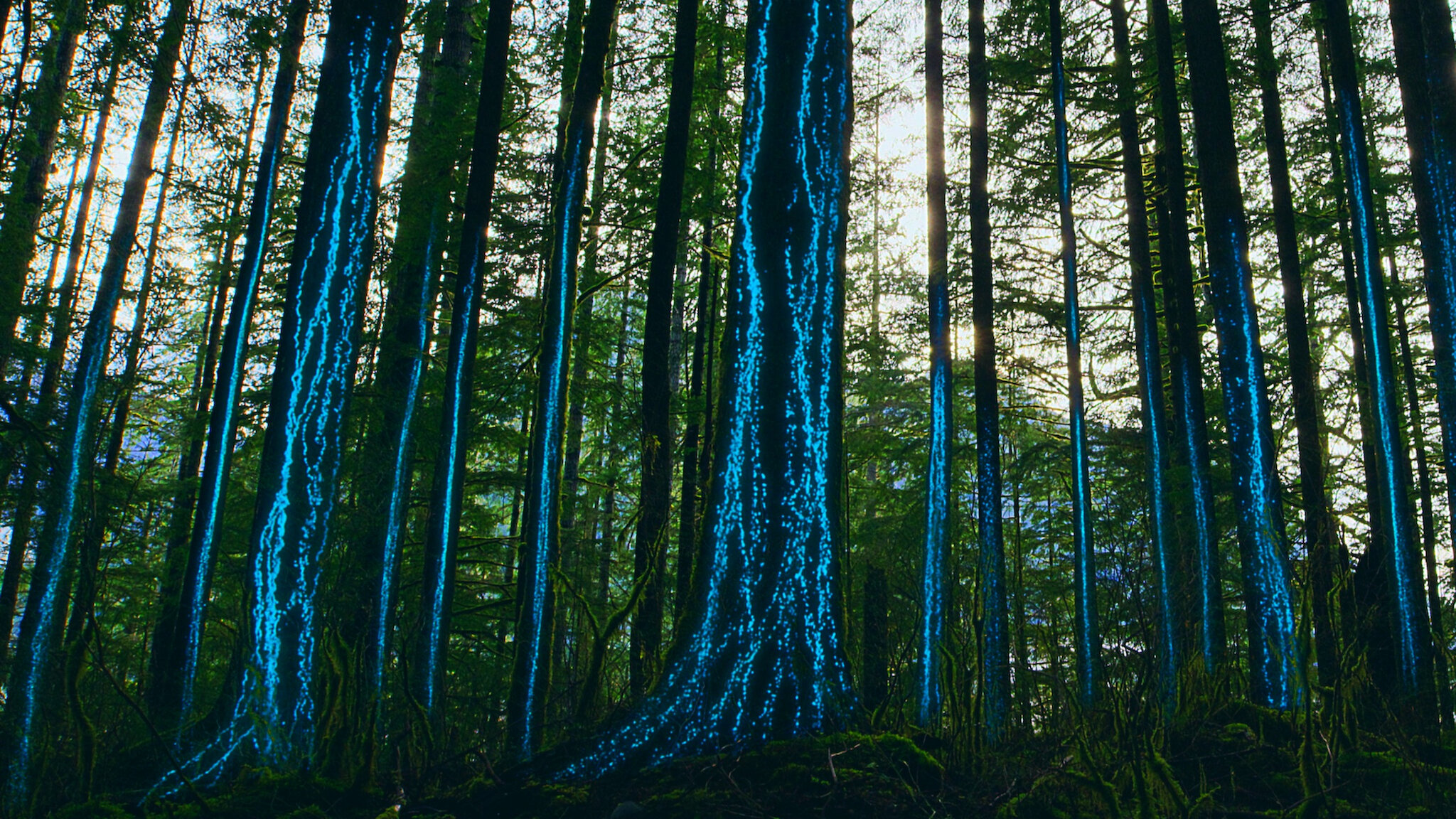 Sustainability Movies, Shows and Documentaries | Netflix Official Site