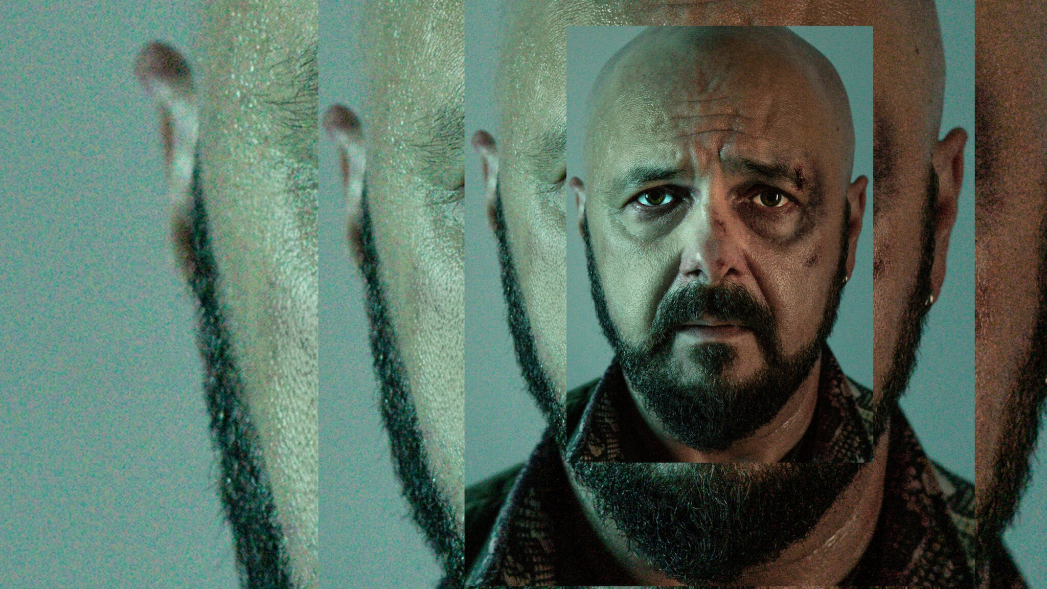 Watch Feedback | Netflix Official Site