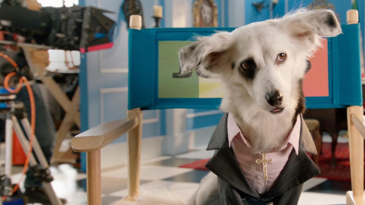 Watch Pup Star: World Tour | Netflix