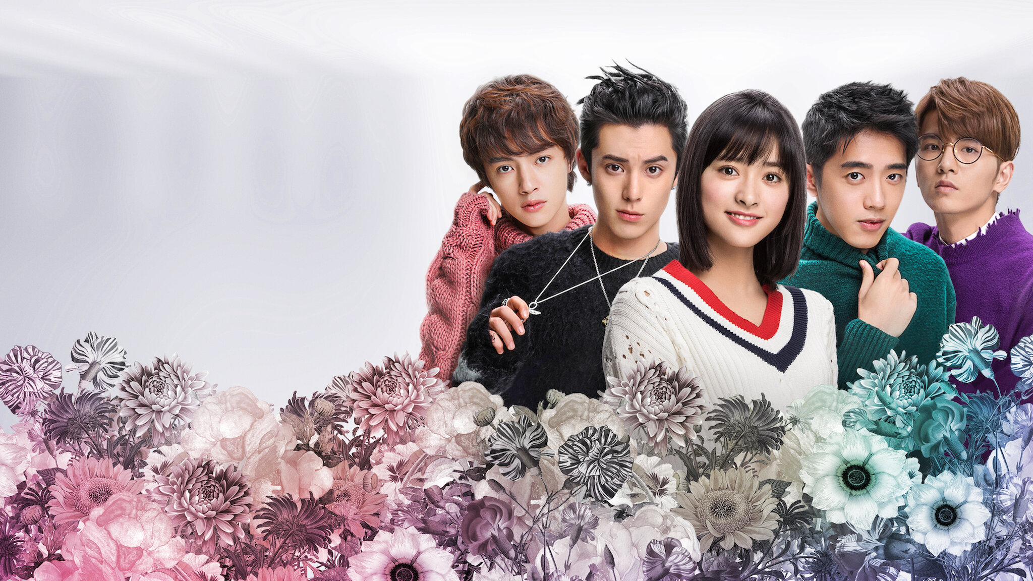 Watch Meteor Garden | Netflix Official Site