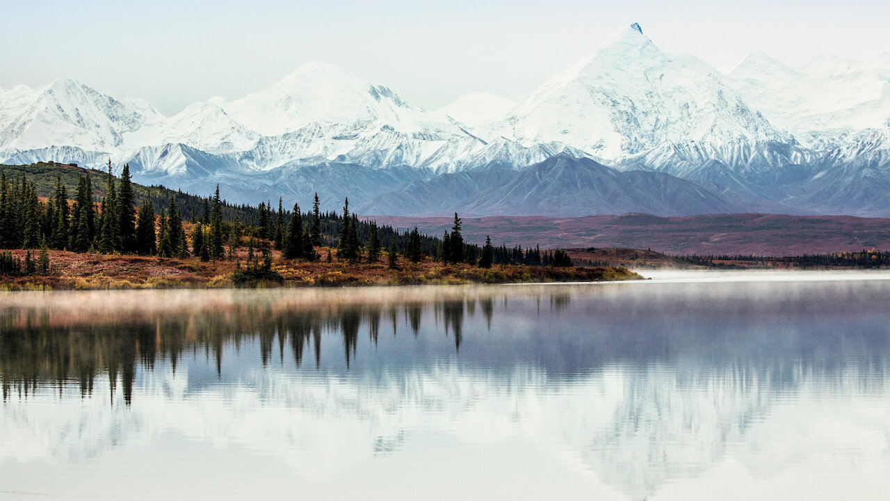 Watch Wild Alaska | Netflix