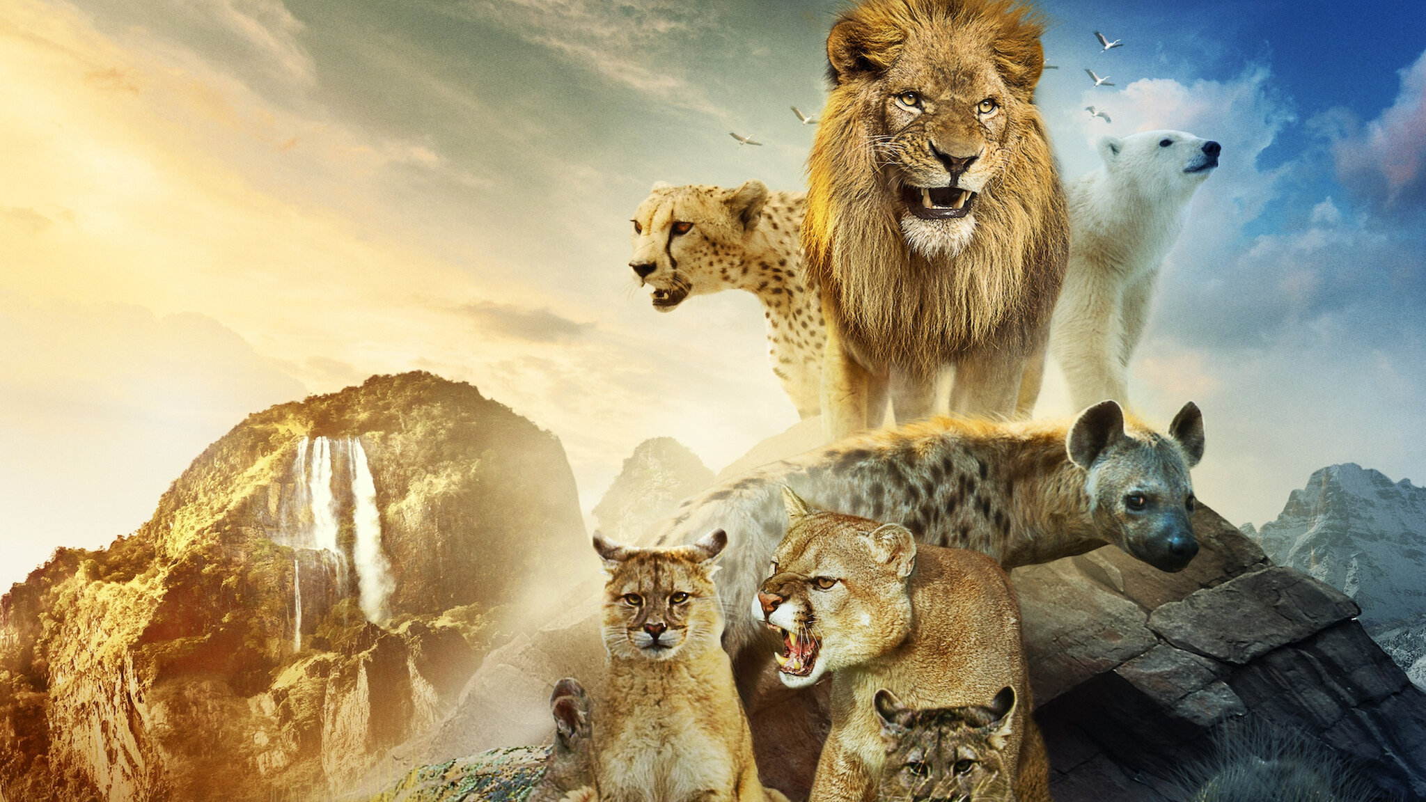 Watch Predators | Netflix Official Site