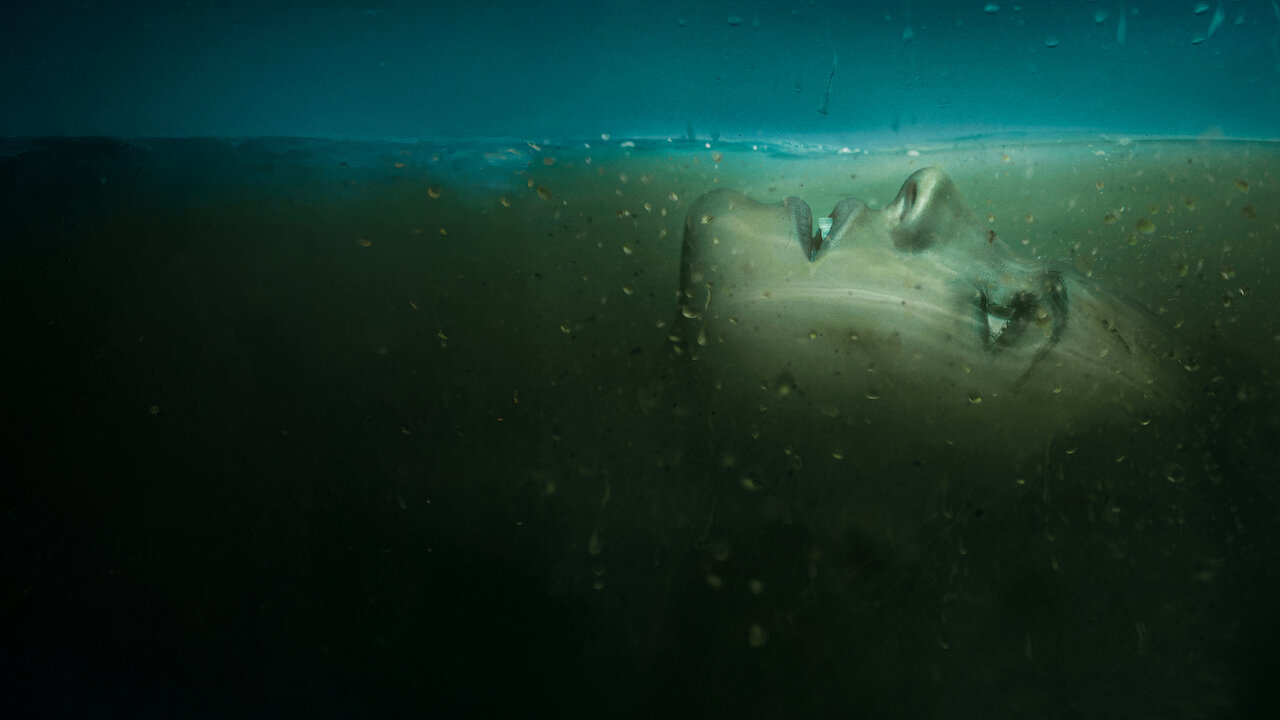 Watch Absentia | Netflix