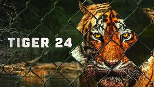 Watch The Ivory Game | Netflix Official Site