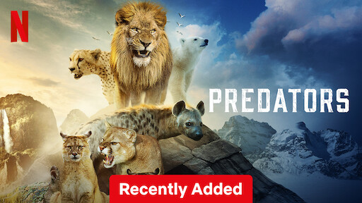 Watch Life on Our Planet | Netflix Official Site