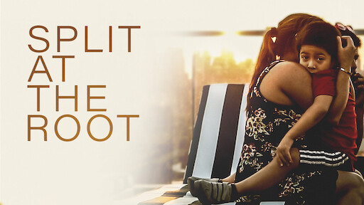 Watch Out of Many, One | Netflix Official Site