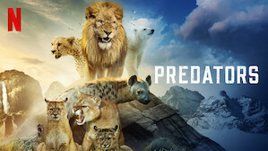 TV Shows | Netflix Official Site