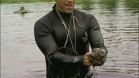 Watch Dirty Jobs | Netflix