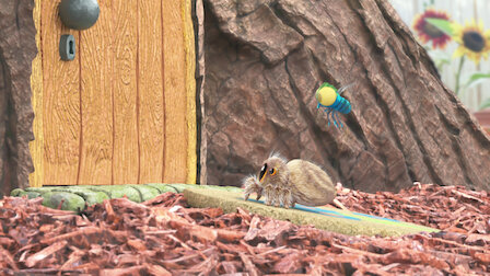 Watch Lucas the Spider | Netflix