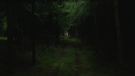 Watch Ravenous | Netflix Official Site