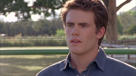 Watch Wildfire | Netflix