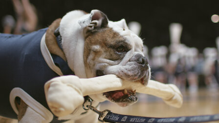 Watch Dogs | Netflix Official Site