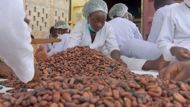 Watch Rotten | Netflix Official Site