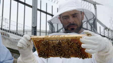 Watch Down to Earth with Zac Efron | Netflix Official Site