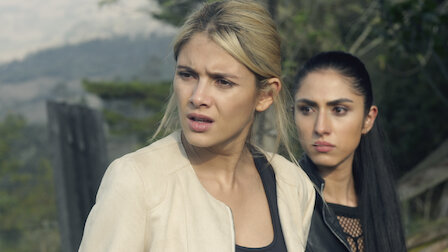 Watch All For Love | Netflix Official Site