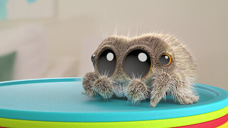 Watch Lucas the Spider | Netflix