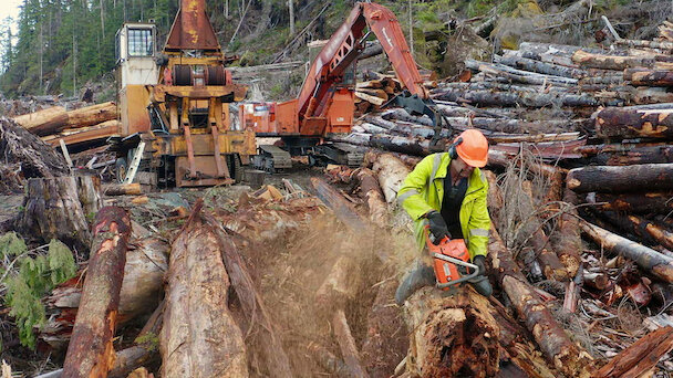 Watch Big Timber | Netflix Official Site