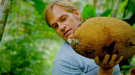 Watch Down to Earth with Zac Efron | Netflix Official Site