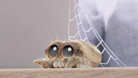 Watch Lucas the Spider | Netflix