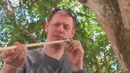 Watch MeatEater | Netflix Official Site