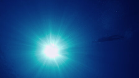 Watch Sense8 | Netflix Official Site