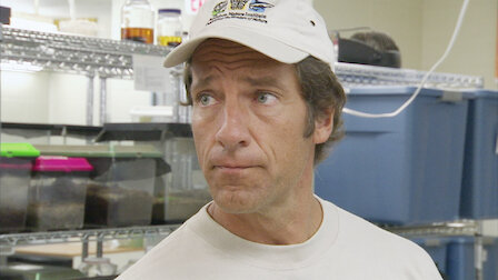 Watch Dirty Jobs | Netflix