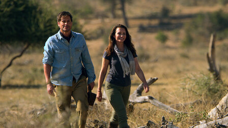 Watch Holiday in the Wild | Netflix Official Site