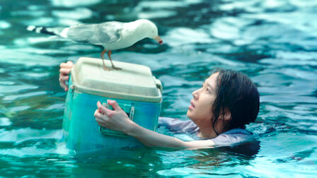 Watch Castaway Diva | Netflix Official Site