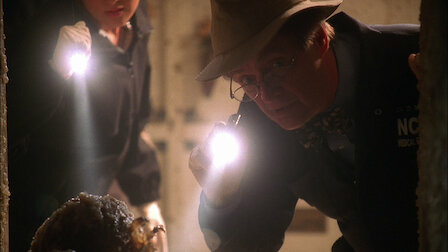 Watch NCIS | Netflix