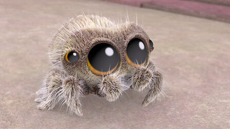 Watch Lucas the Spider | Netflix
