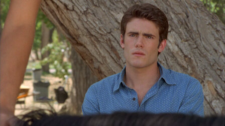 Watch Wildfire | Netflix