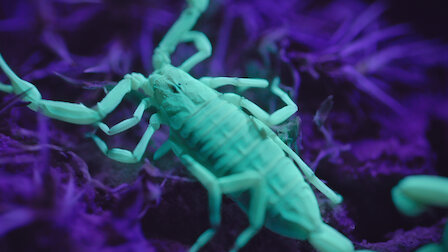 Watch Alien Worlds | Netflix Official Site