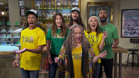Watch Disjointed | Netflix Official Site