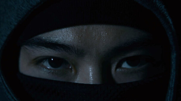 Watch House of Ninjas | Netflix Official Site