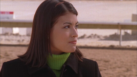 Watch Wildfire | Netflix