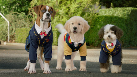 Pup Academy | Netflix
