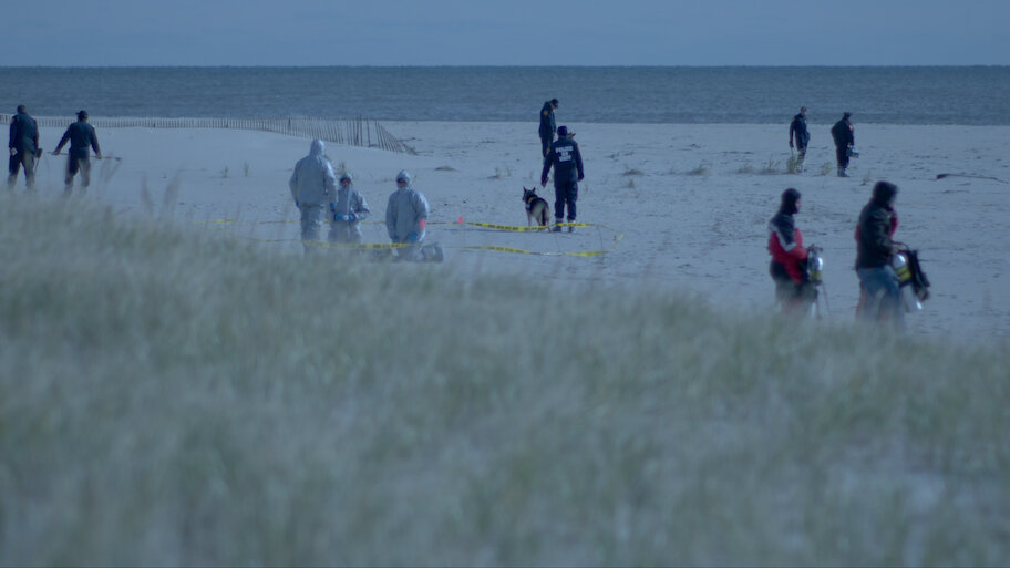 Watch Gone Girls: The Long Island Serial Killer | Netflix Official Site