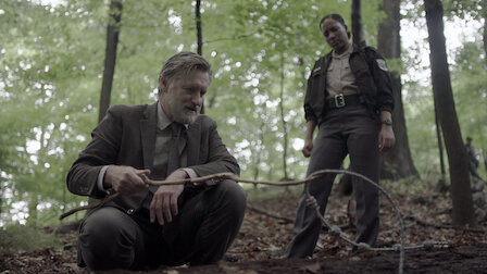 Watch The Sinner | Netflix
