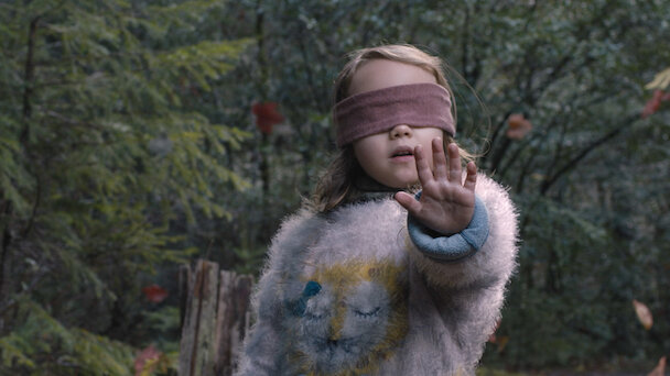 Watch Bird Box | Netflix Official Site