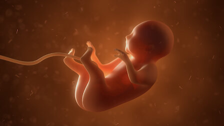 Human: The World Within | Netflix