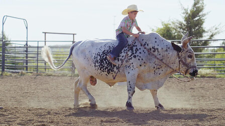 Watch Fearless | Netflix Official Site