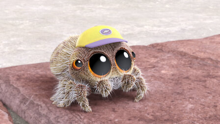 Watch Lucas the Spider | Netflix