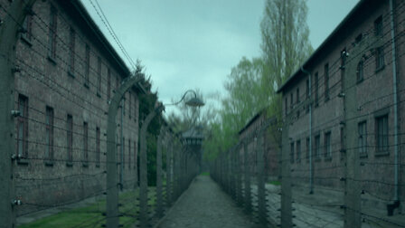 Watch Hitler and the Nazis: Evil on Trial | Netflix Official Site