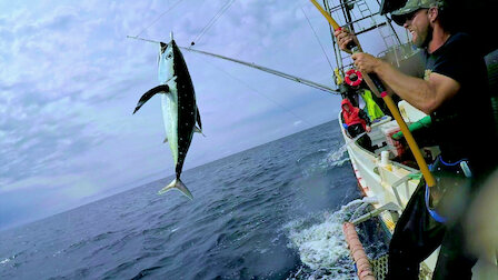 Battlefish | Netflix Official Site