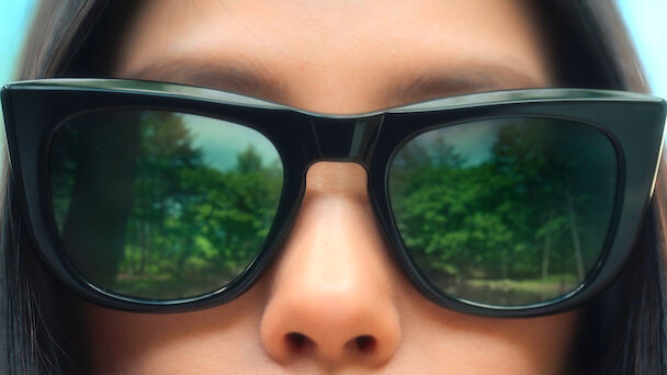 Watch The Frog | Netflix Official Site