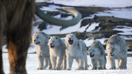 Watch Life on Our Planet | Netflix Official Site