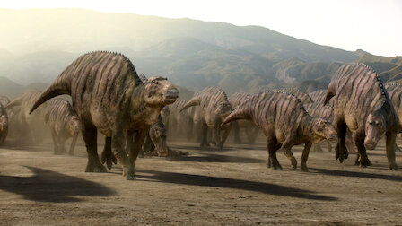 Watch Life on Our Planet | Netflix Official Site