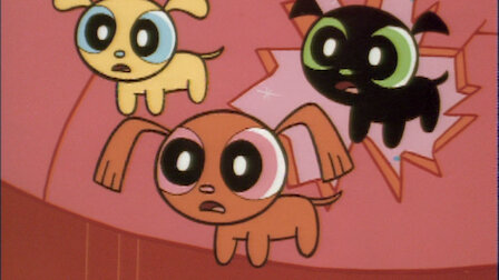 Watch The Powerpuff Girls | Netflix